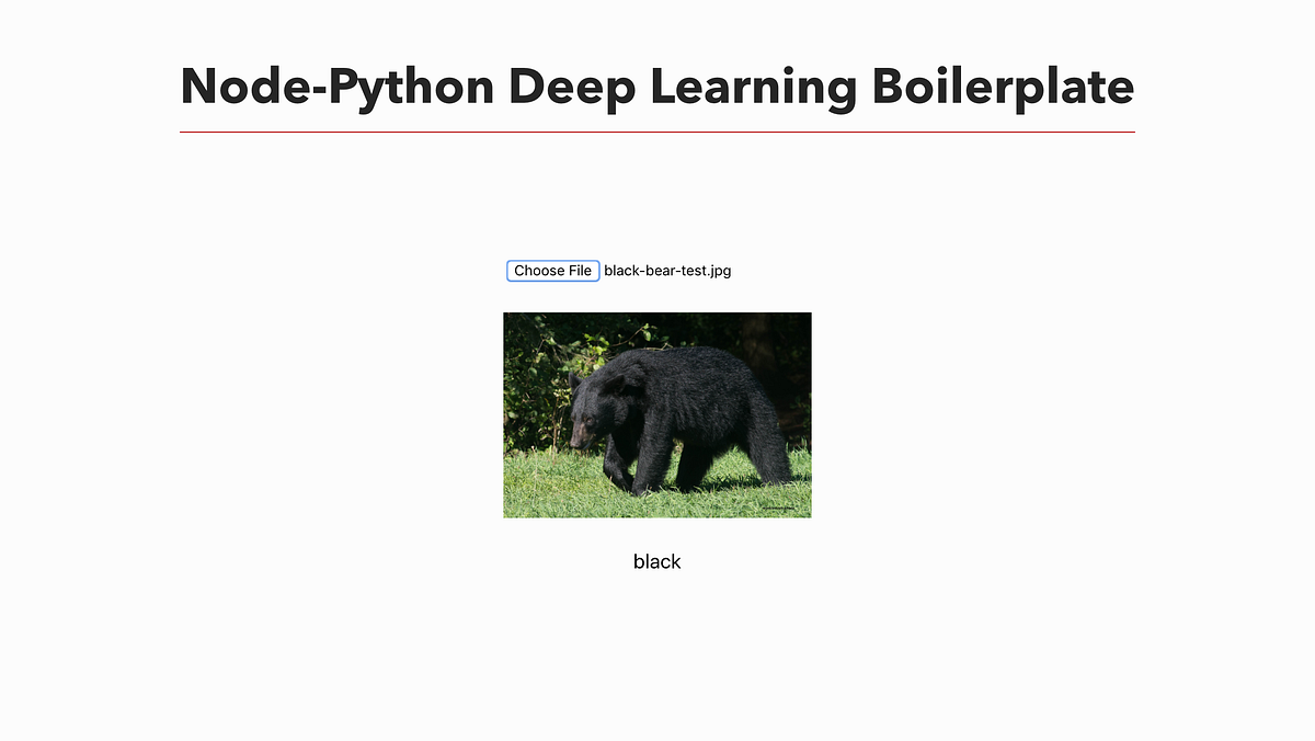 Deploying a Deep Learning Image Classification Model with Fastai, Python, and NodeJS | by Zach C ...
