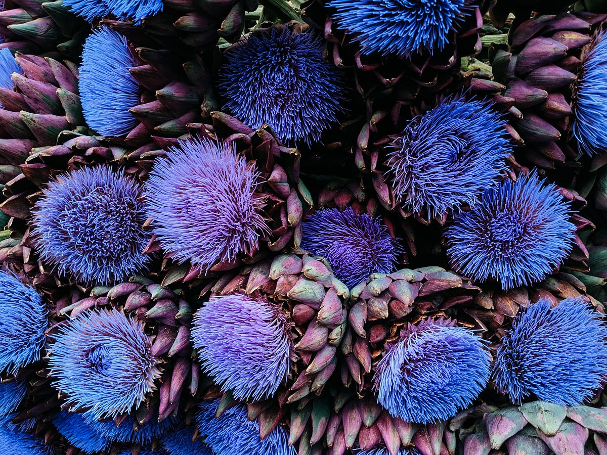 Acrostic Artichoke. An acrostic vegetable challenge | by Adelia Ritchie ...