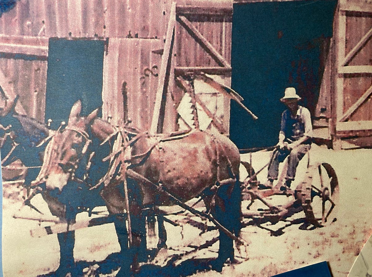 My Favorite Farmer — Uncle Scott. An old-time farmer who farmed with ...