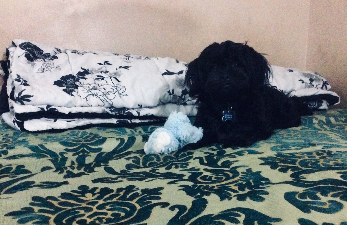 Creative Writing Prompt 2: My Bedroom | by Genaro Mateos | Medium