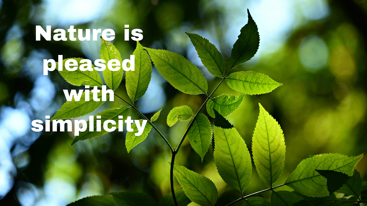 Nature. Introduction | by Eshahid | Medium