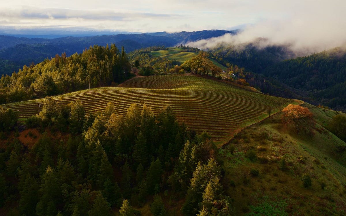 How to Get Beautiful Live Wallpapers on Your Mac (MacOS Sonoma) | by ...