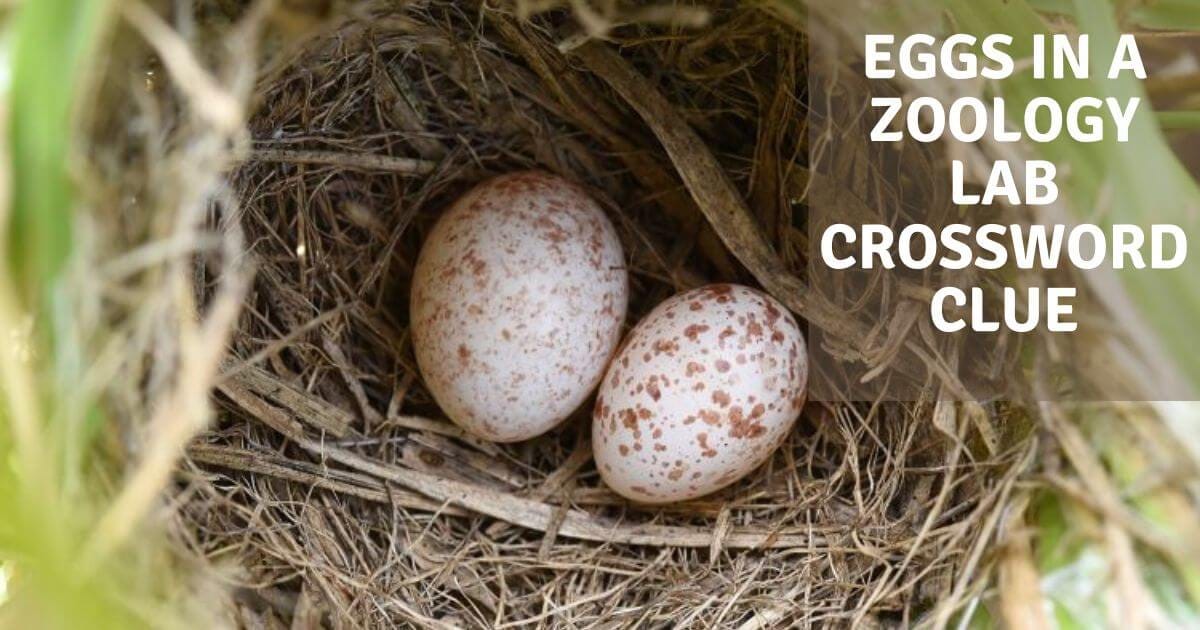 Masters in Zoology Programs | Animal Science Master’s Programs | by ...