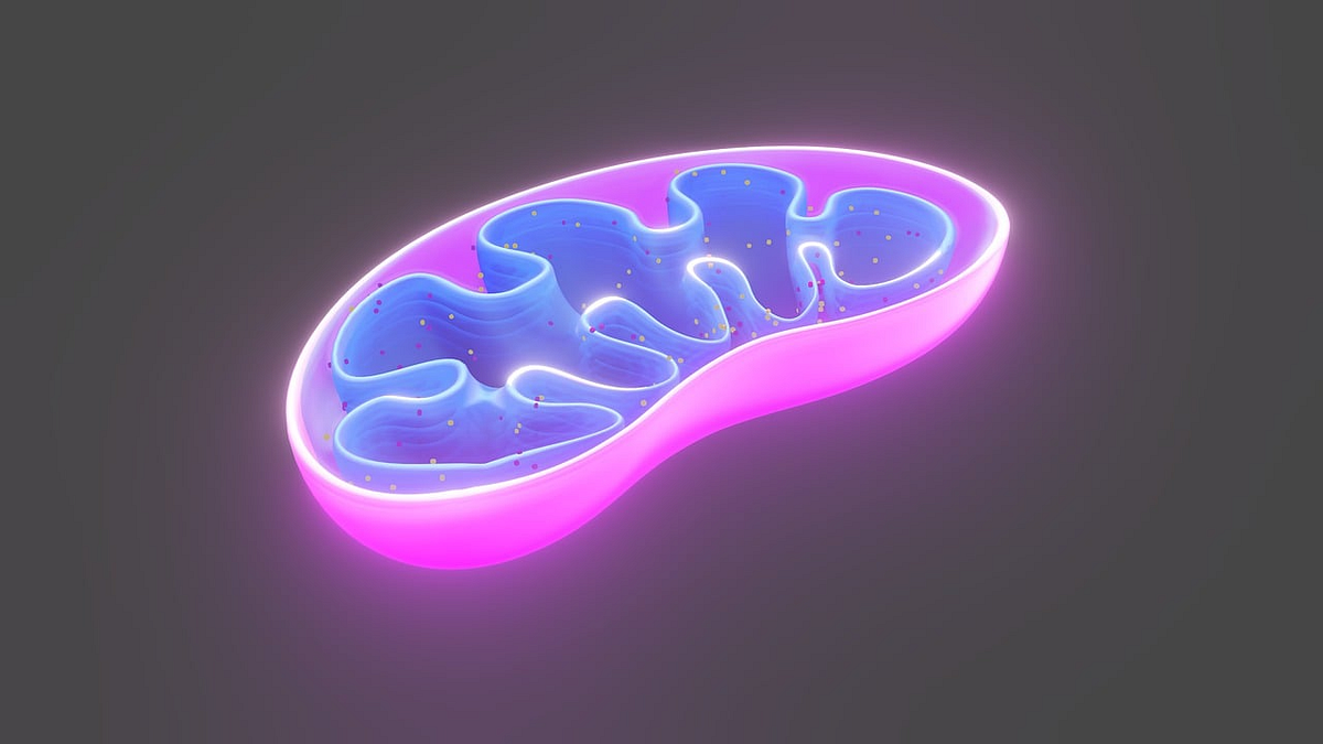 From Cell Images to Insights: AI-Powered Microscopy in Cell Biology ...