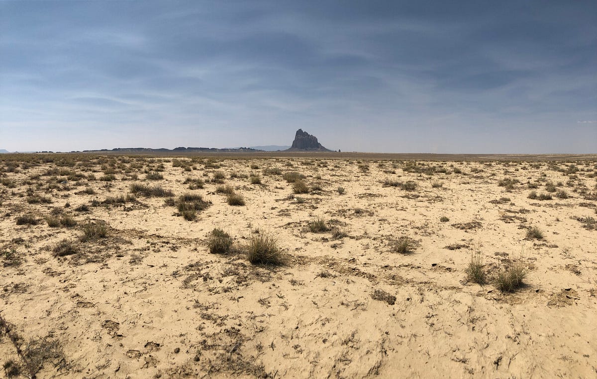 The Way of the Bear and Dark Winds | by Dr Rick Mathis | Medium