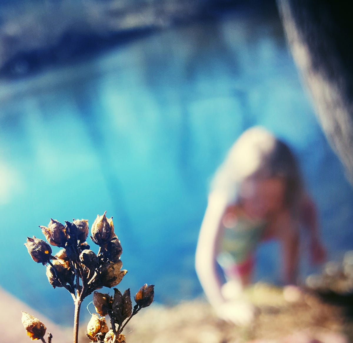 alive. I am powder fine dust awaiting… | by Mela Blust | Medium