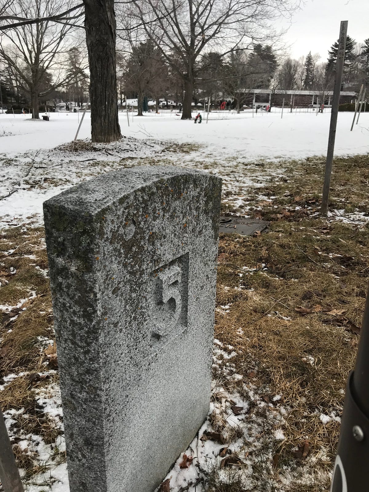Where ‘Before and After’ Collide. Facing grief head on — 37 years later ...
