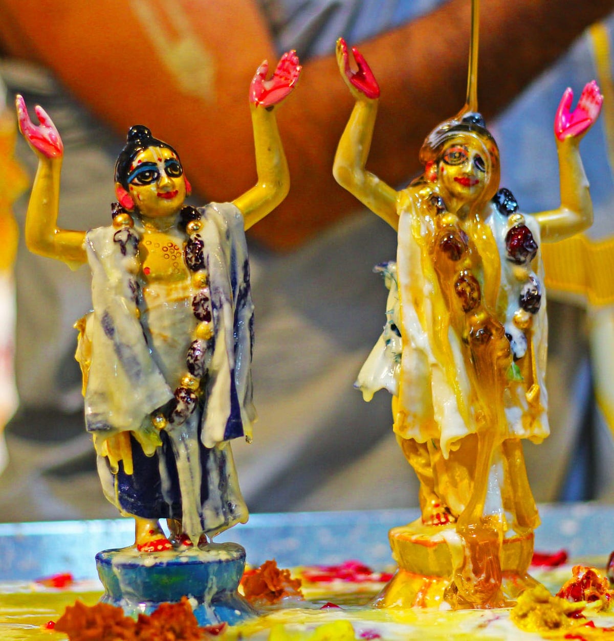 Gaura Purnima. Gaura Purnima is the most pleasant day… | by Nikshita ...