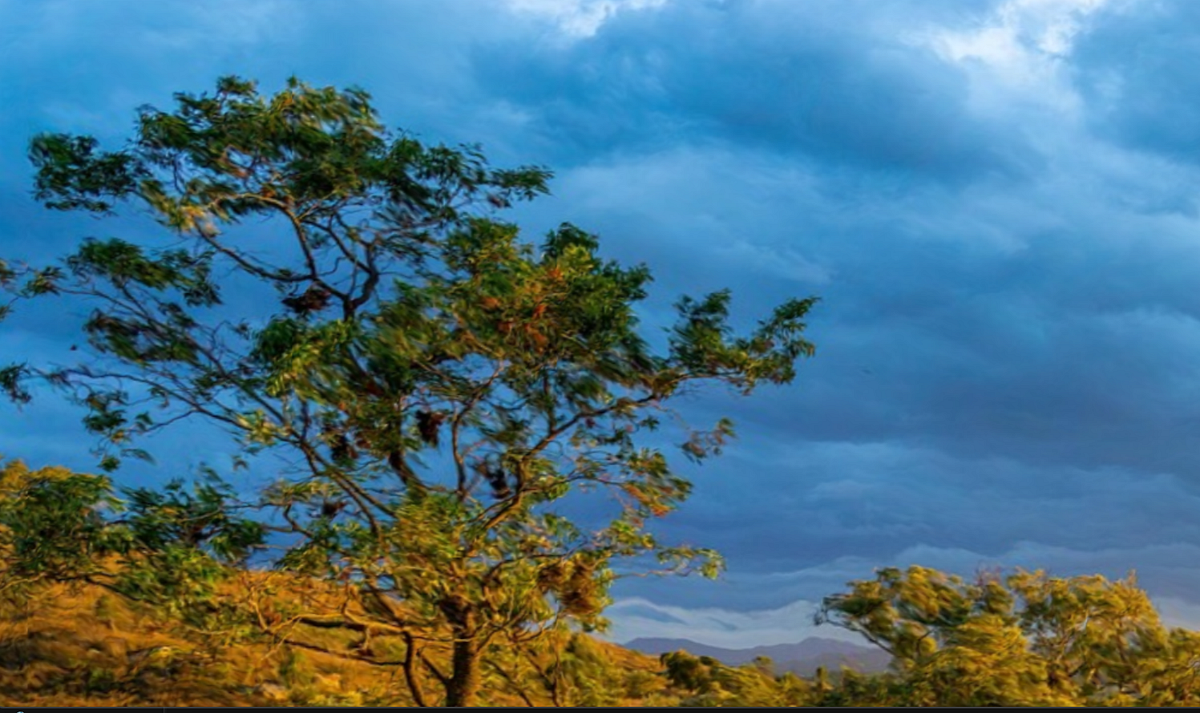 PIXI.js Animation. PIXI.js is a very simple-to-use library… | by Nia Ravi | Feb, 2025 | Medium