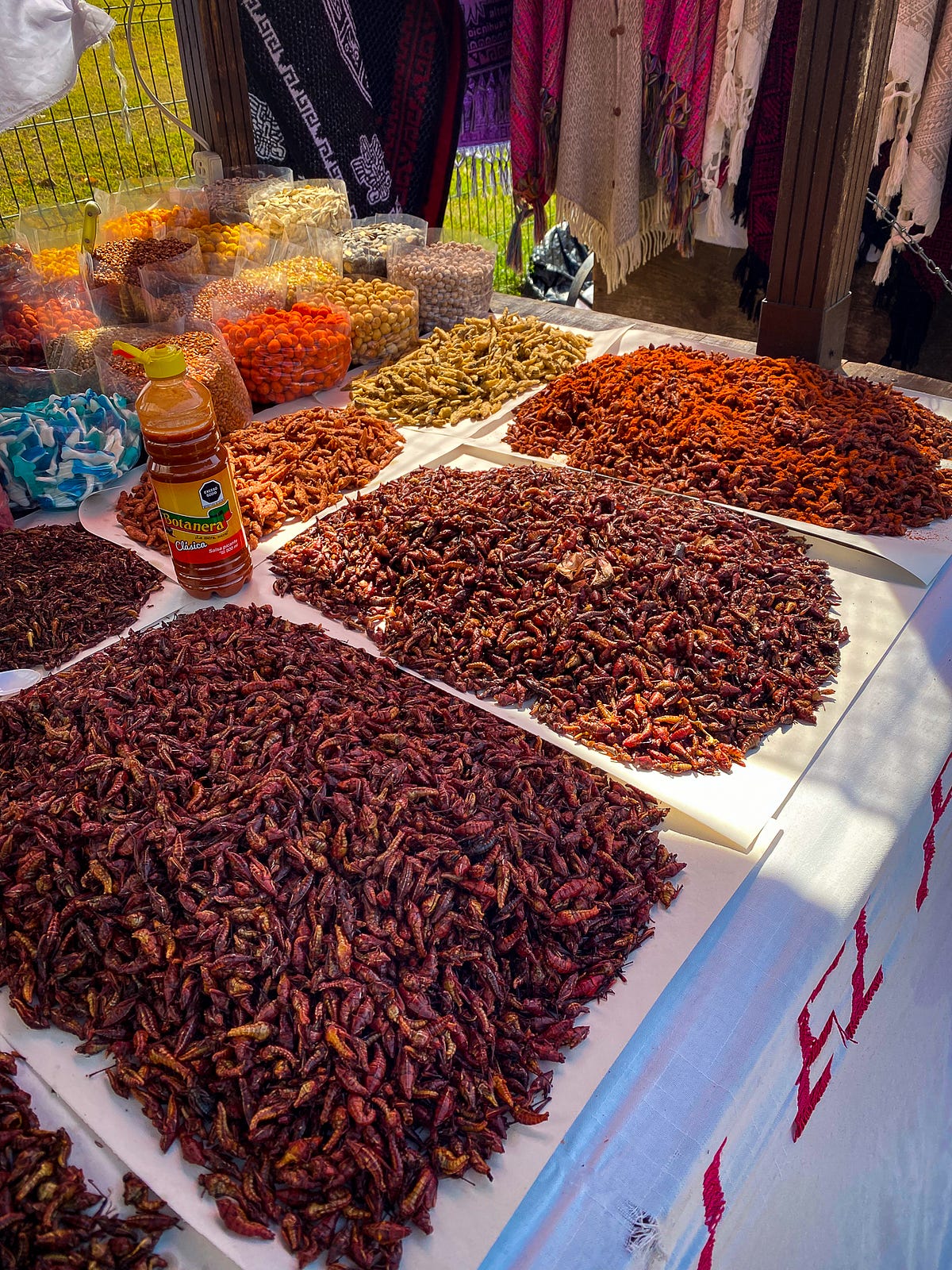 Chapulines, Chapulines, Chapulineees! | by Curious & Hungry | Sharing ...