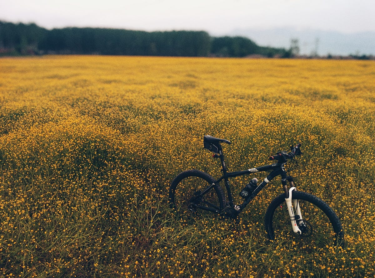 Helping reduce air pollution is good for your health | by UK Health ...