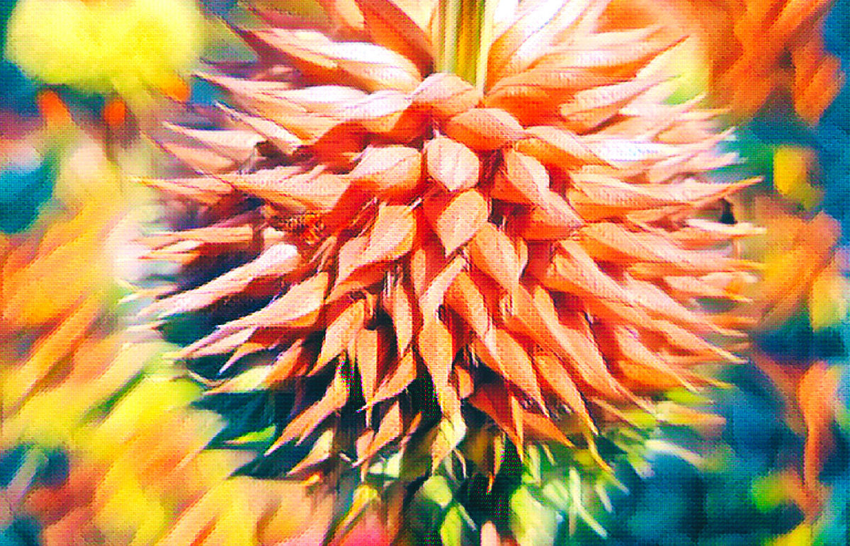 From Seed to Sprout. The spiritual significance of… | by Kelley Murphy | Spirit Alchemy | Medium