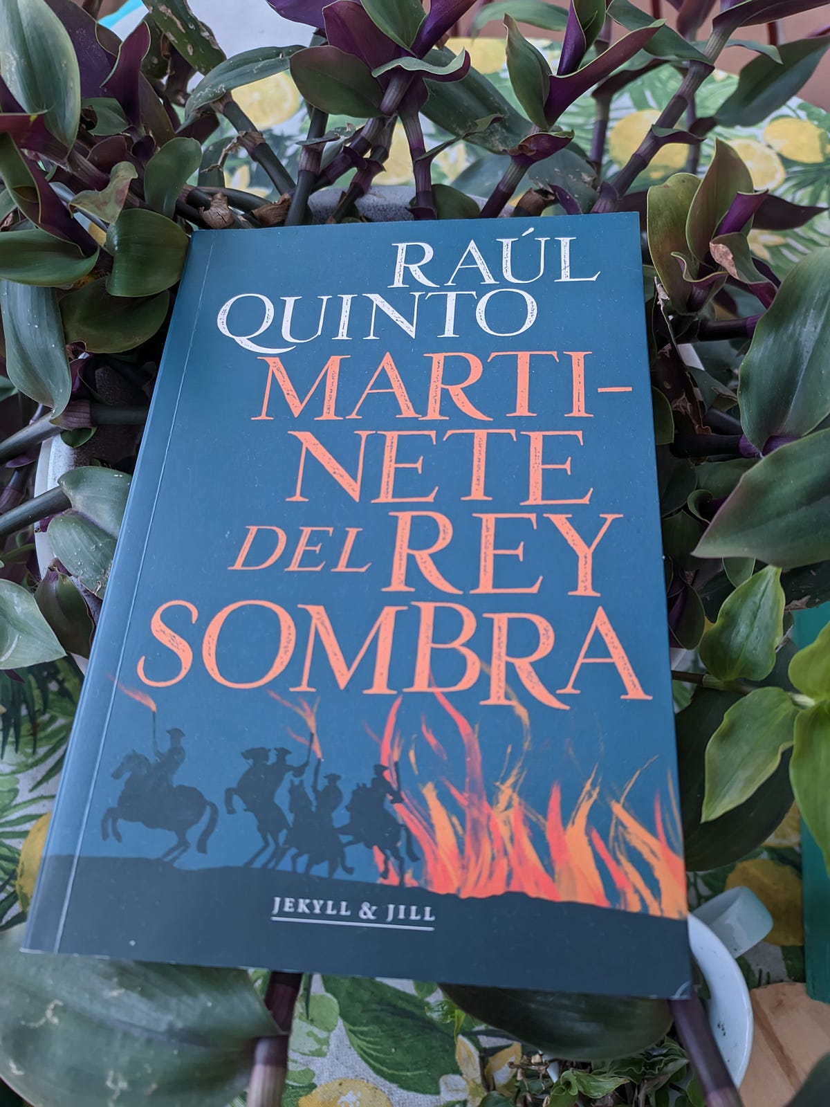 La Gran Redada: ‘Martinete del rey sombra’ de Raúl Quinto | by Eduardo ...