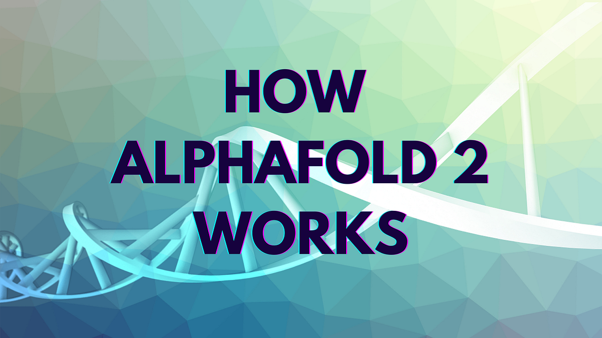AlphaFold 2 Explained: A Semi-Deep Dive | by Dale Markowitz | TDS ...