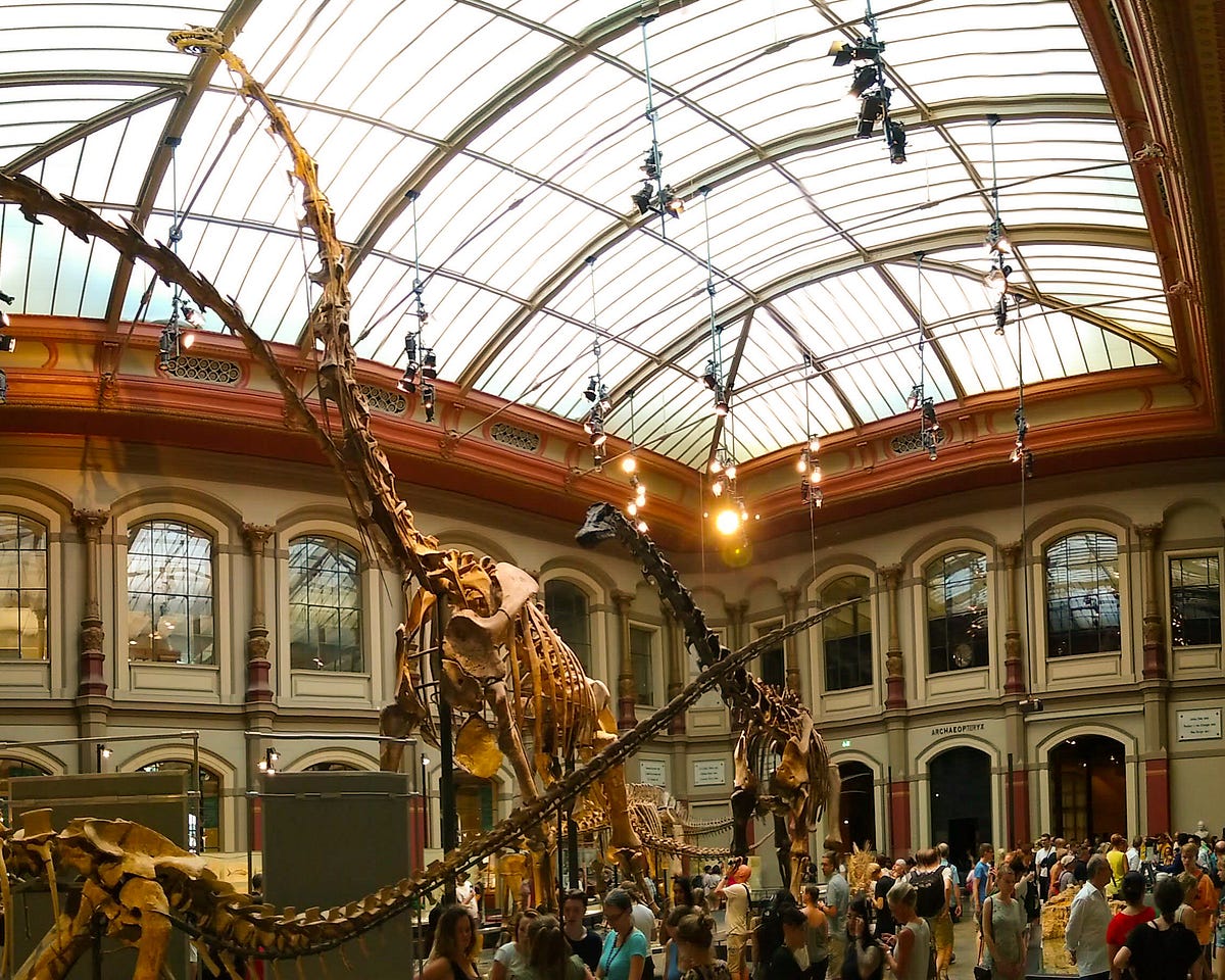 The Way Forward: Museum Education in India — Part II | by Habiba Insaf ...