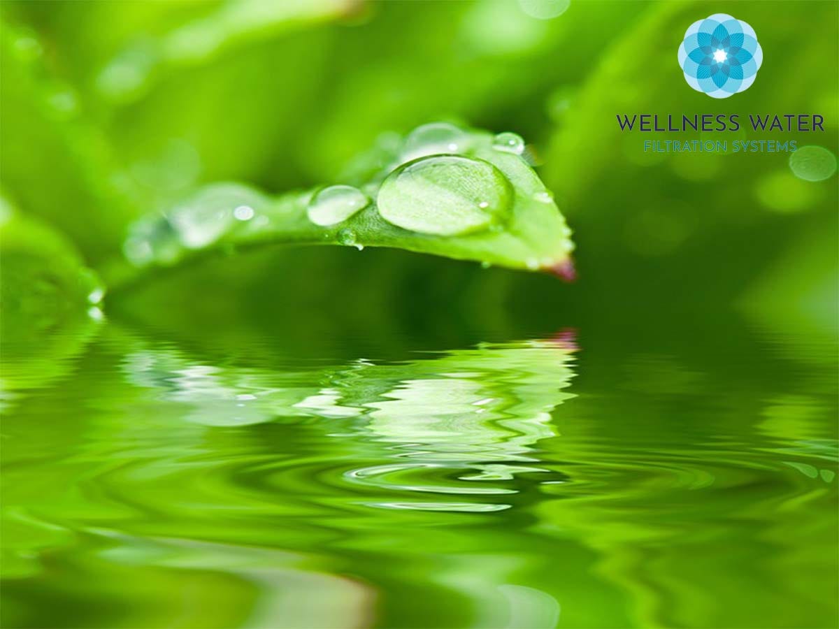 Wellness Water Filtration Systems Myrtle Beach SC | by Elite SEO Teams ...