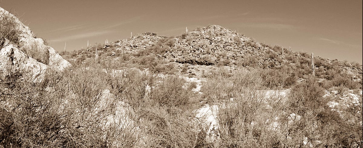 Sonoran Desert | by Robert Abramson | Medium