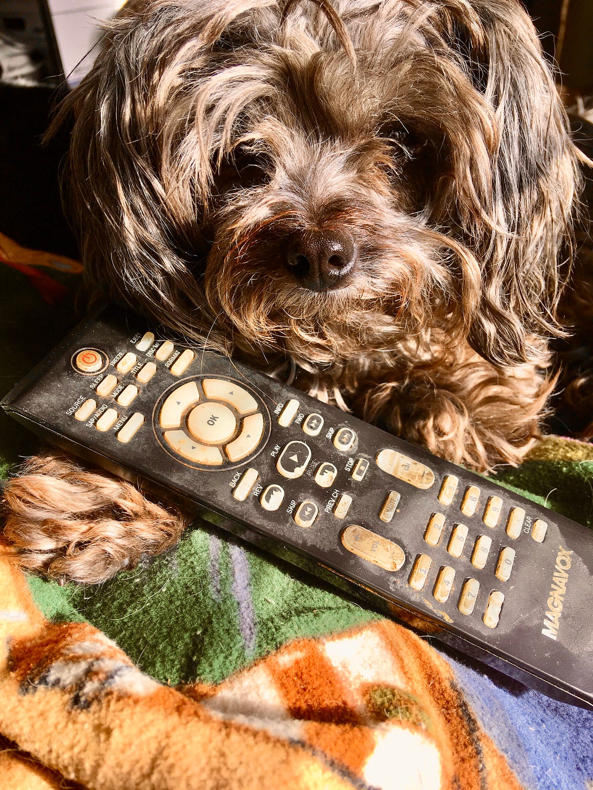 Oooo __ aDad !. How can I _ turnOff _ Karaoke 🎤 | by kurt gasbarra | Medium