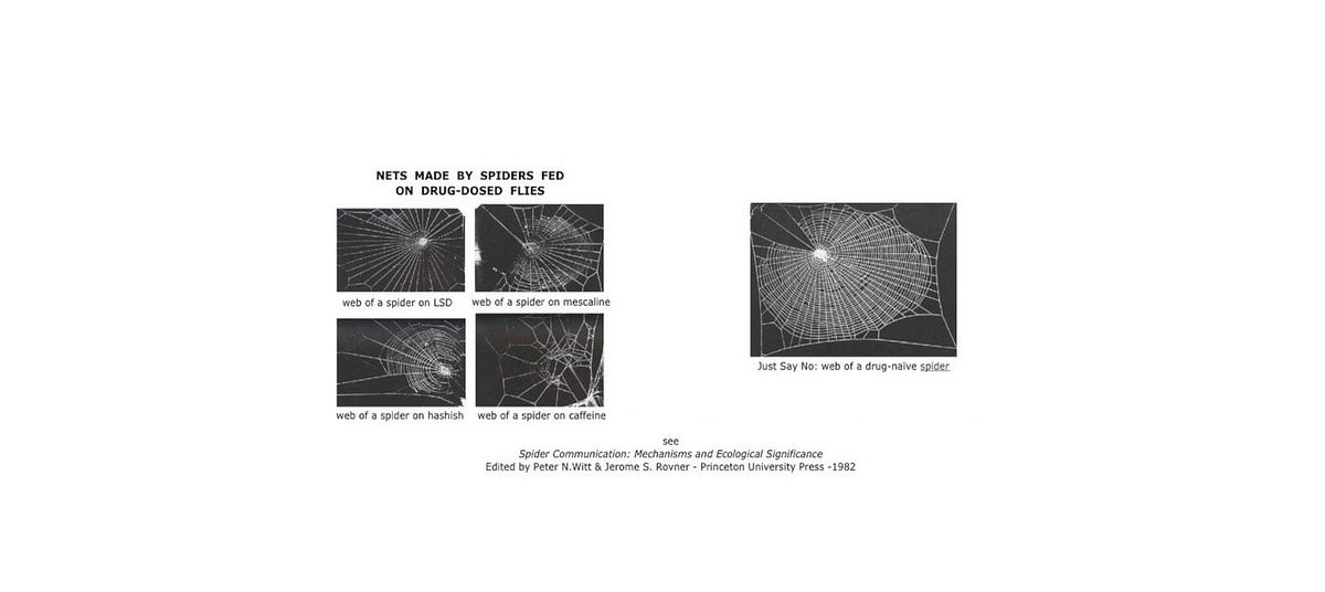 Weekend Diversion: Spider Webs… on drugs? | by Ethan Siegel | Starts ...