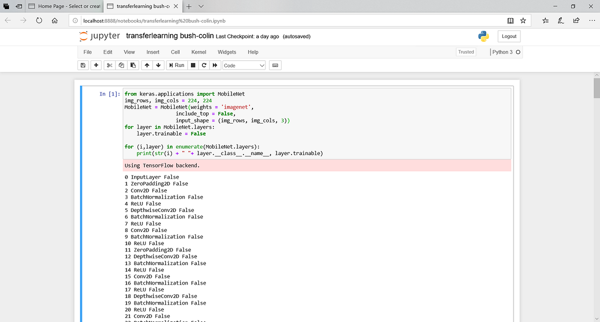 Transfer Learning CNN Using MobileNet | by Parivansh Deep singh | Medium