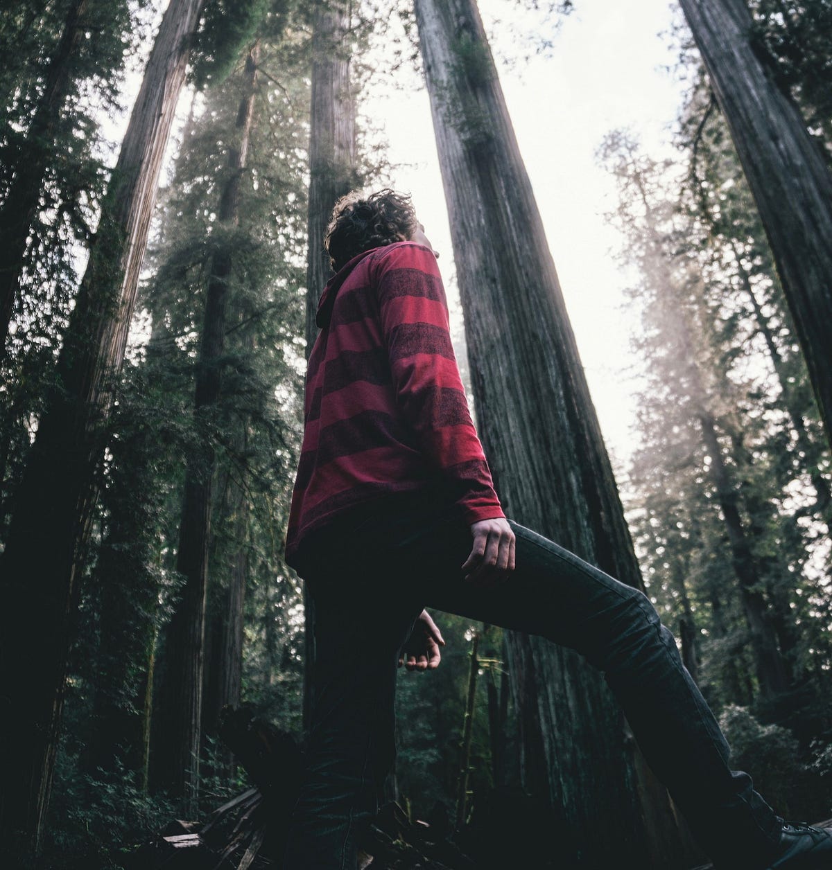 Somehow, Life Must Get Better. “What is to give light must endure… | by ...