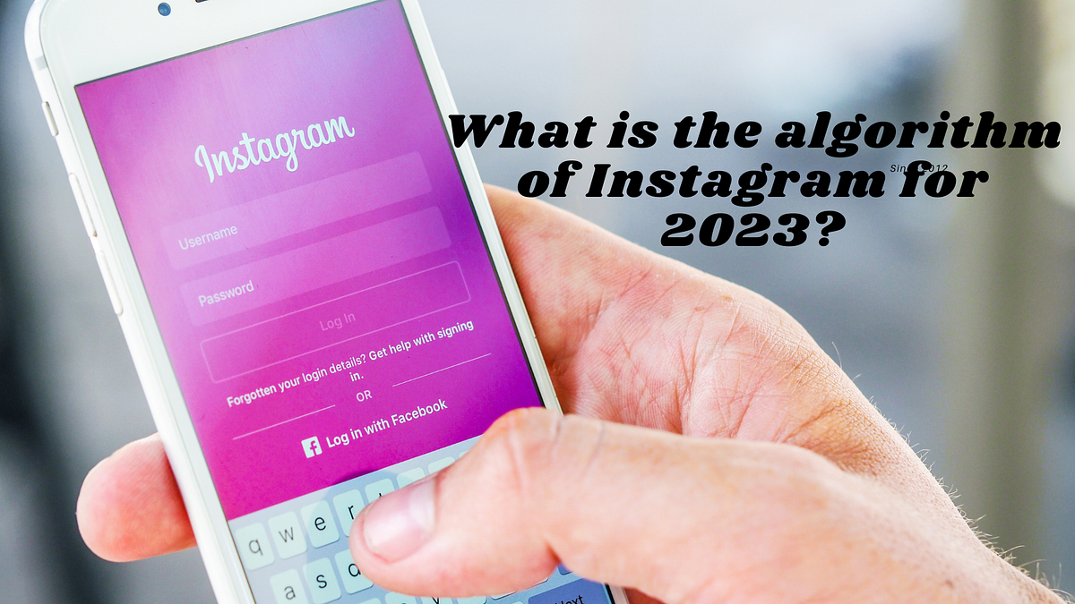 What is the algorithm of Instagram for 2023? | by Gurleen Saini | Medium