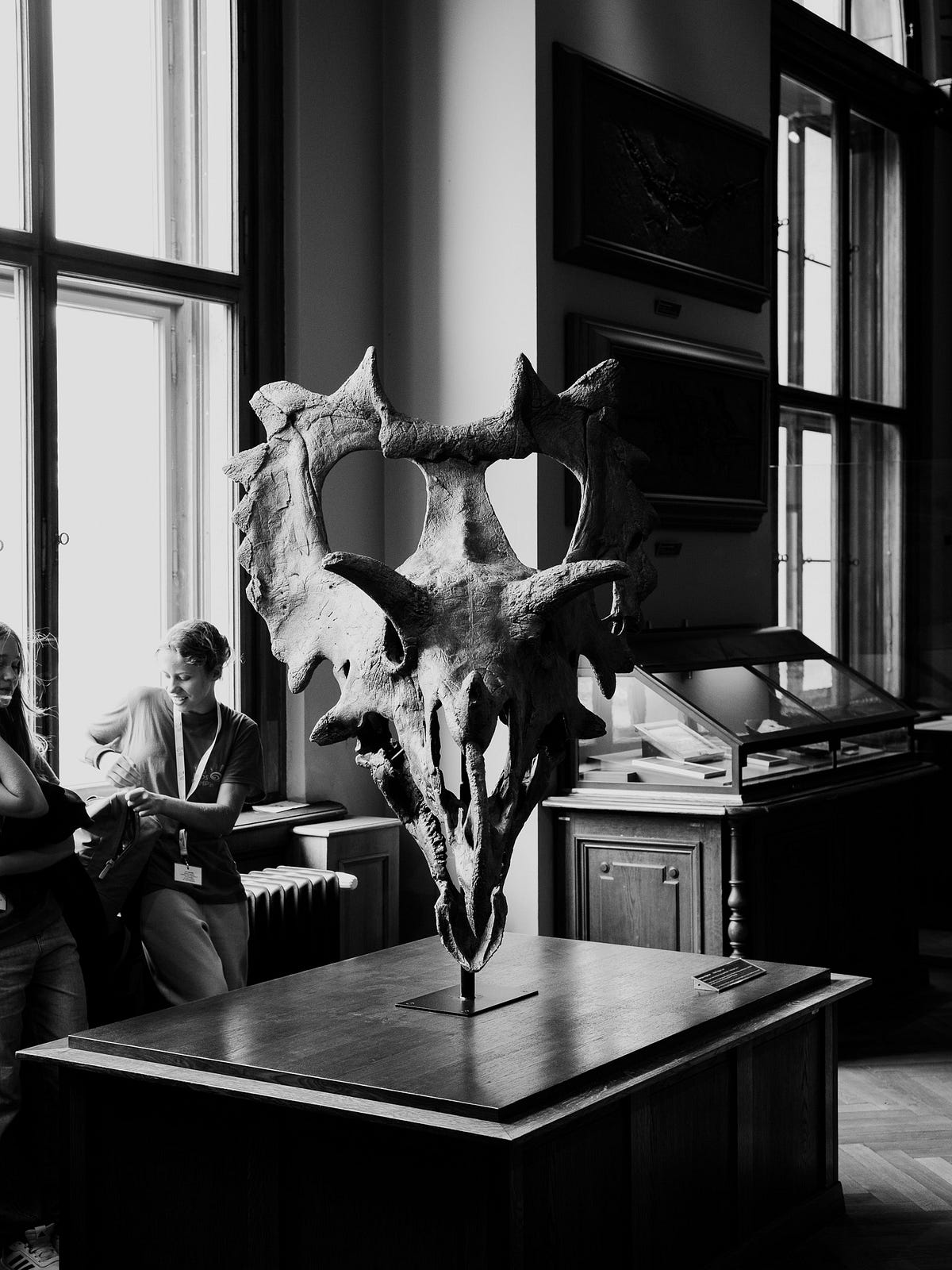 Vienna Natural History Museum: Fast Fox Guide | Medium