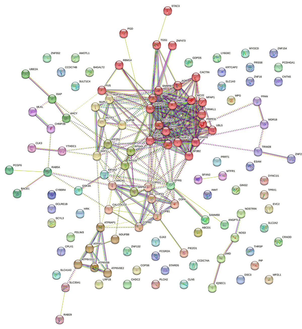 Bioinformatics #5: Clustering algorithm for protein-protein interaction network part 3 — Flow ...