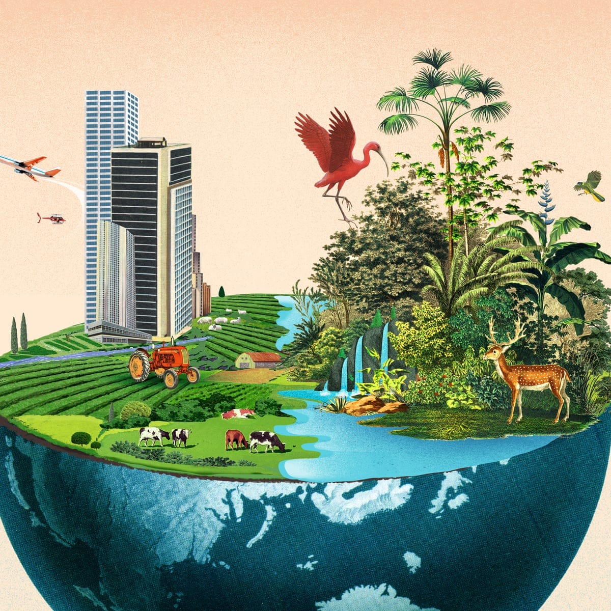 Biodiversity The Web of Life That Sustains Us | by Ms Jee | Mar, 2025 ...