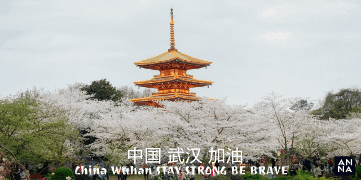 All The Ways To Solve Cross Domain Issue In Web By Anna Coding Anna Coding Medium 5798