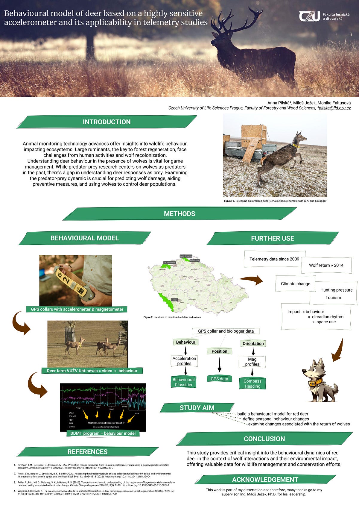 Behind the Collar: Understanding How Deer and Wolves Shape Ecosystems ...