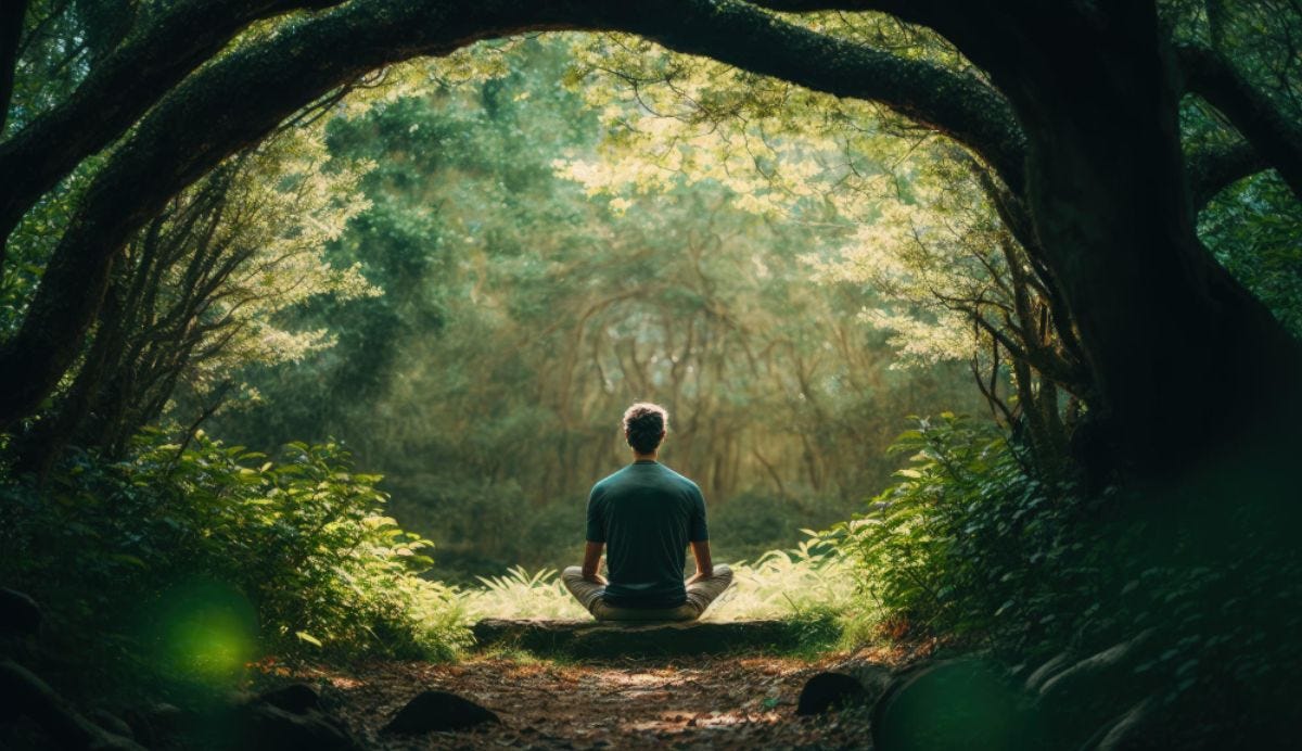 The Connection Between Nature And Mental Health: Ecotherapy Explained ...
