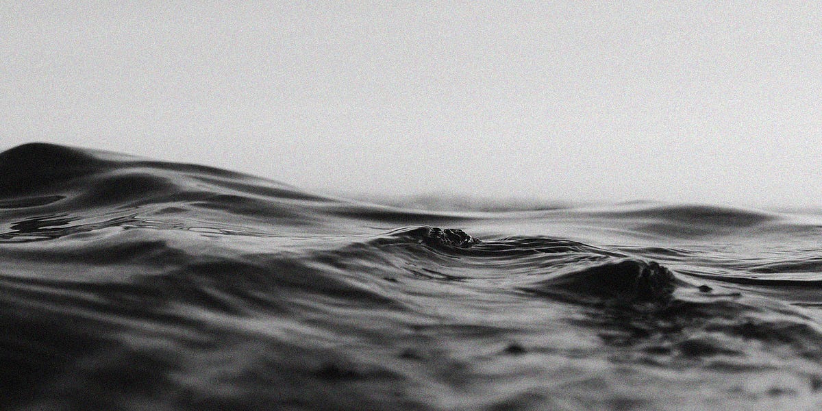 Nature loves courage.. Leaping into the unknown, landing on… | by Jay Mavani | Mar, 2025 | Medium