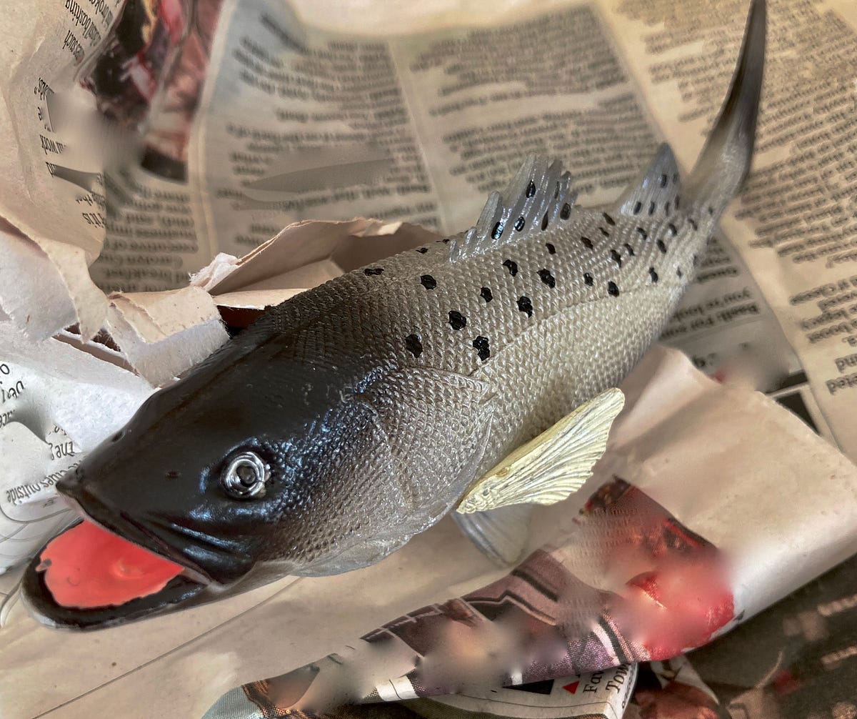Pole Dancing With a Fish. A true story from files of Scottish… | by ian ...