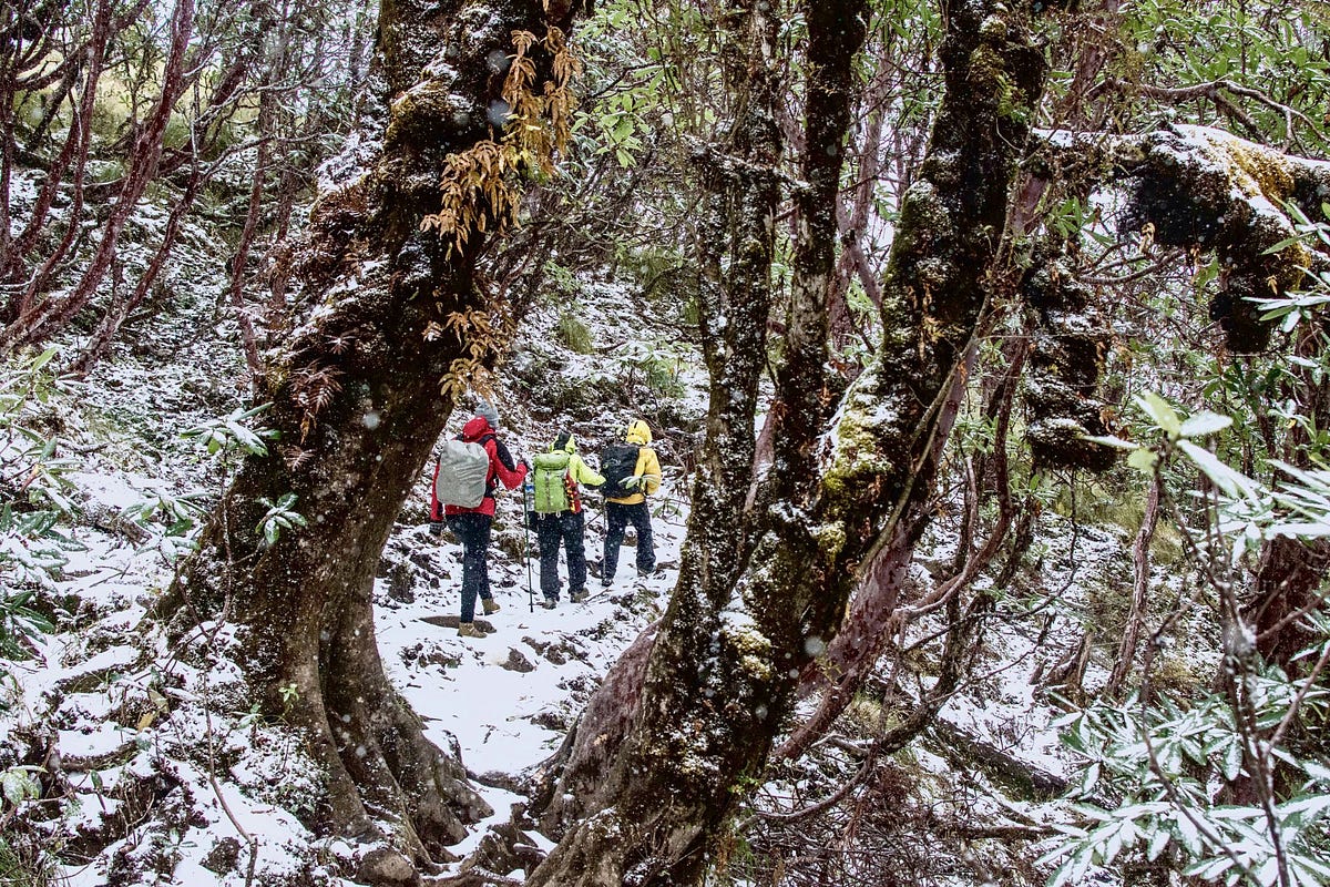 One of the most legendary treks you can experience in Nepal is the ...
