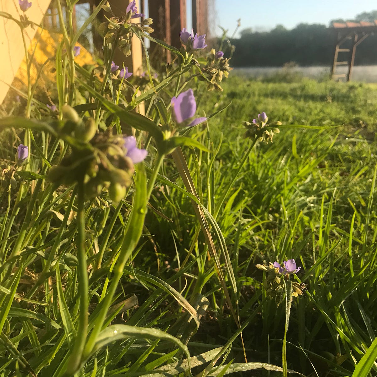 Summertime in Texas. The months between May and September… | by Tiffany ...