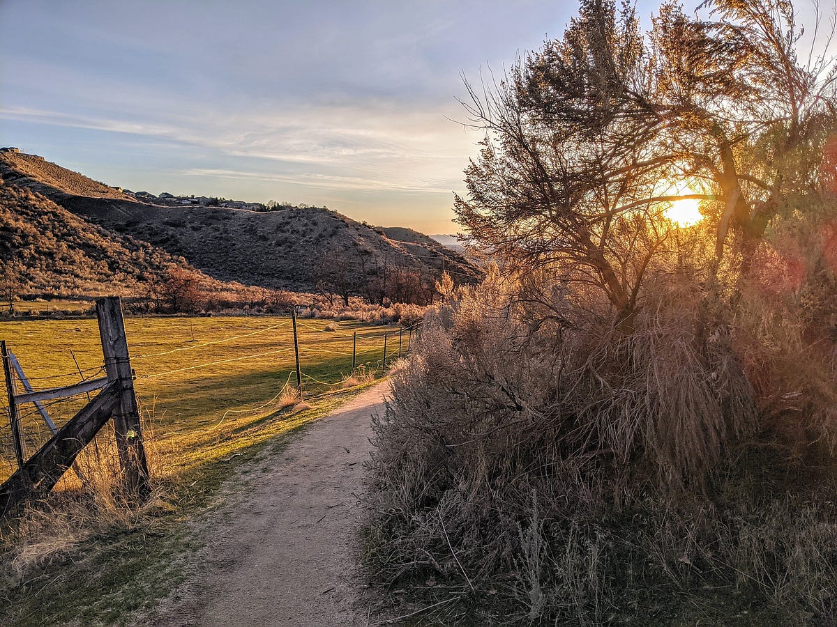 Sunday Musings on a Sandy Trail. Finding sunshine on a Boise, Idaho ...