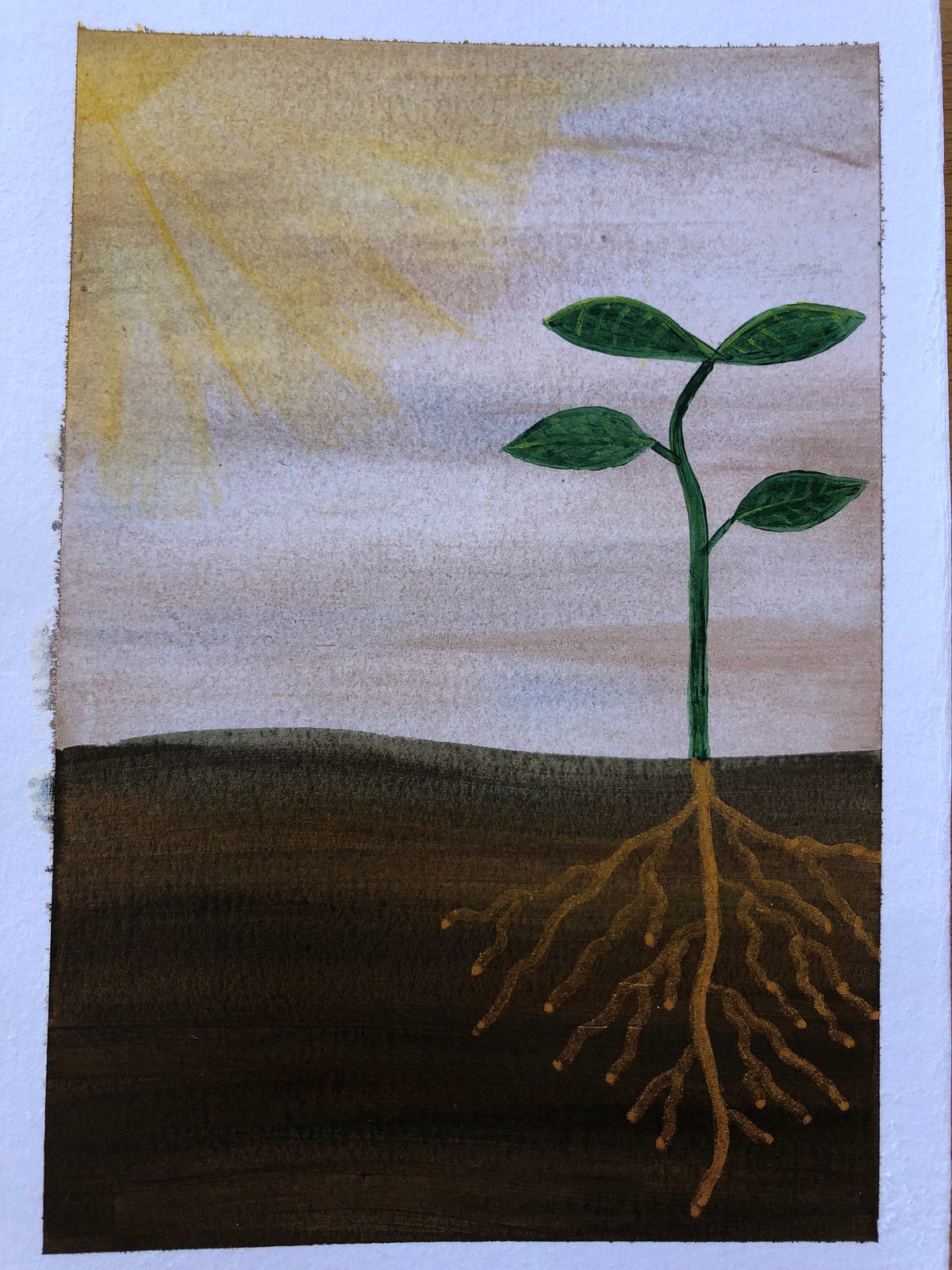 Rooted in Hope. Finding Strength and Renewal in Life’s… | by Emma Wild ...