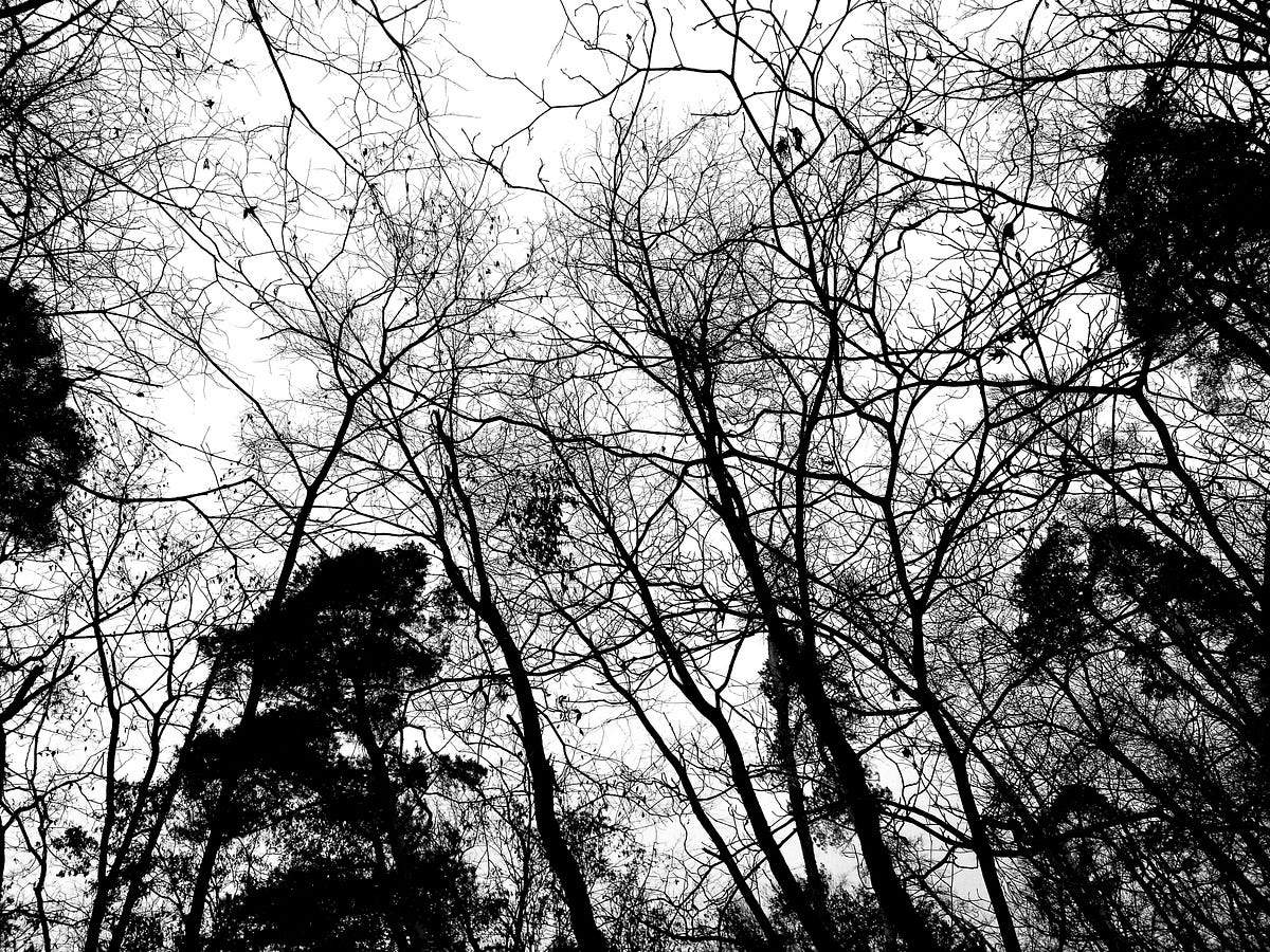 Solstice. Winter wishes in a lover’s embrace | by Brett Jenae Tomlin | Medium