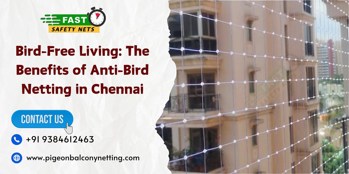 Bird-Free Living: The Benefits of Anti-Bird Netting in Chennai | by ...