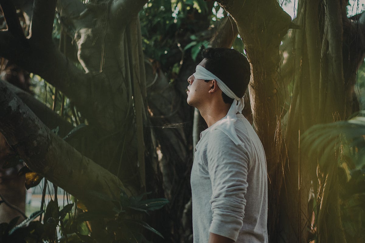 Secrets of NetFlix’s “Bird Box” Revealed | by RichCanadian | Medium