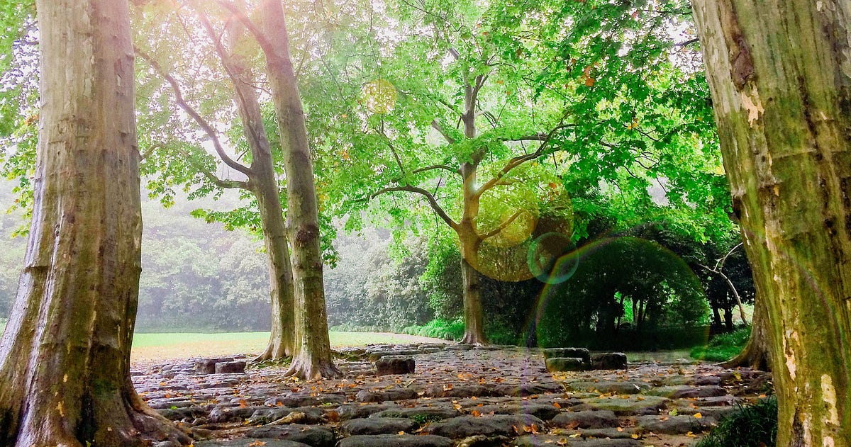 "Stay for a Spell" | Poem on fae and faries | Medium