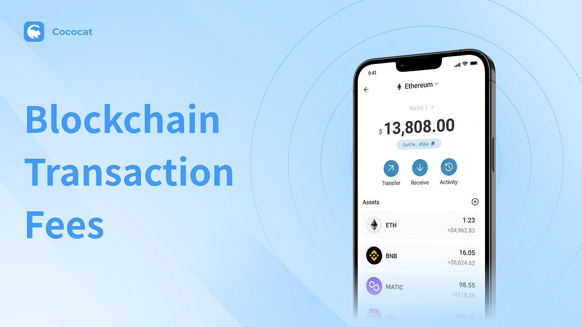 CocoCat Guides You on How to Calculate and Set Appropriate Blockchain ...