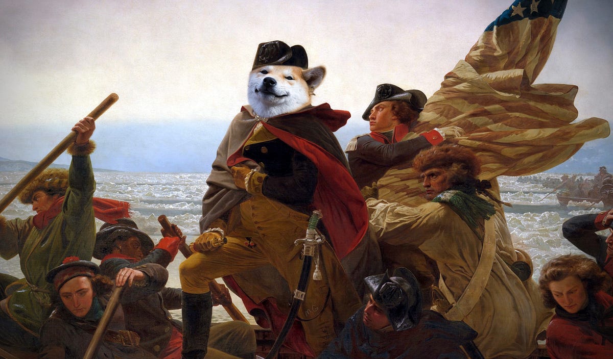 What Outsiders Get Wrong About Dogecoin | by Mark Gulino | Igniting ...