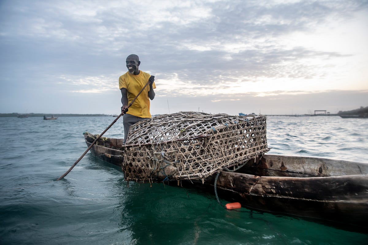One Intern’s Dive into Community-Based Conservation | by Wildlife ...