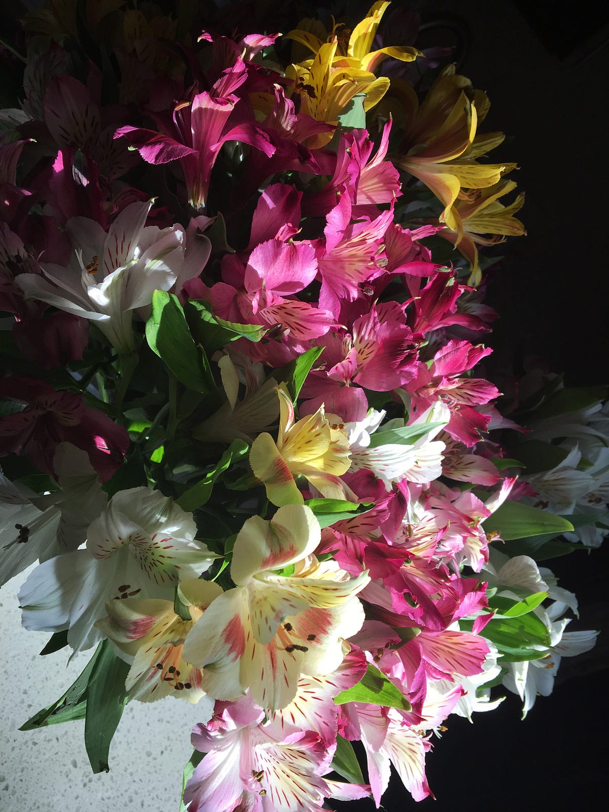 Pleasure and Self Care. One of my most influential teachers has… | by ...