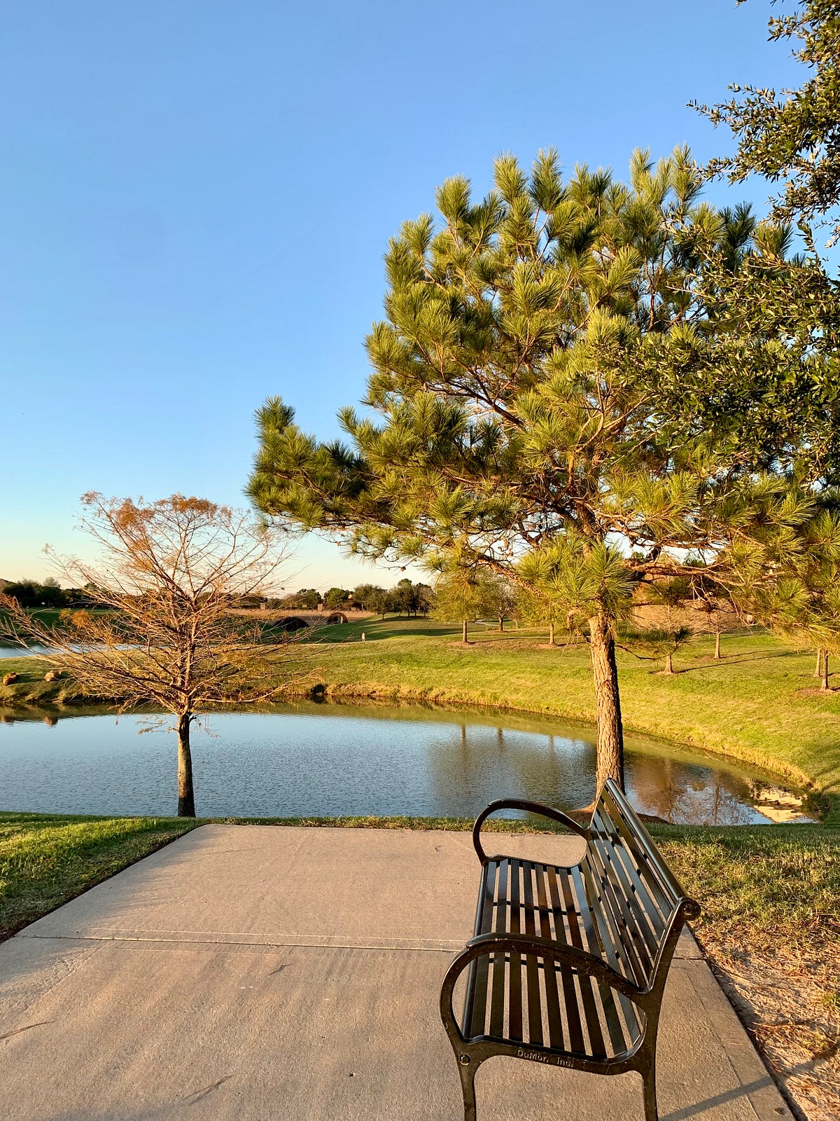 An Ode to Park Benches - Simply Photos - Medium