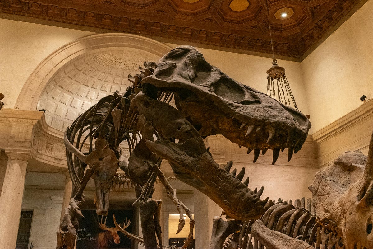 Consider the T-Rex, De-Extinction’s Favorite Icon | by Strange ...