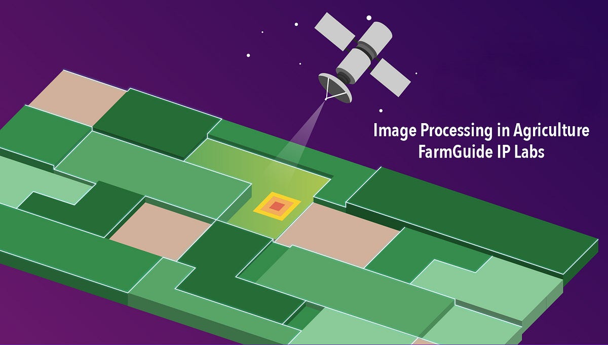 Image Processing in Agriculture | FarmGuide IP Labs | by FarmGuide ...