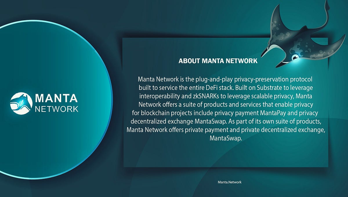 The Inception of the Manta Network | by Promzyelisha | Medium
